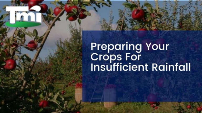 Preparing Your Crops for Insufficient Rainfall - TMI Solutions